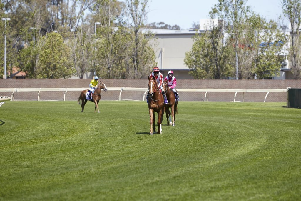 Bunbury Track Redevelopment – Bunbury Turf Club – For A Great Day Out ...